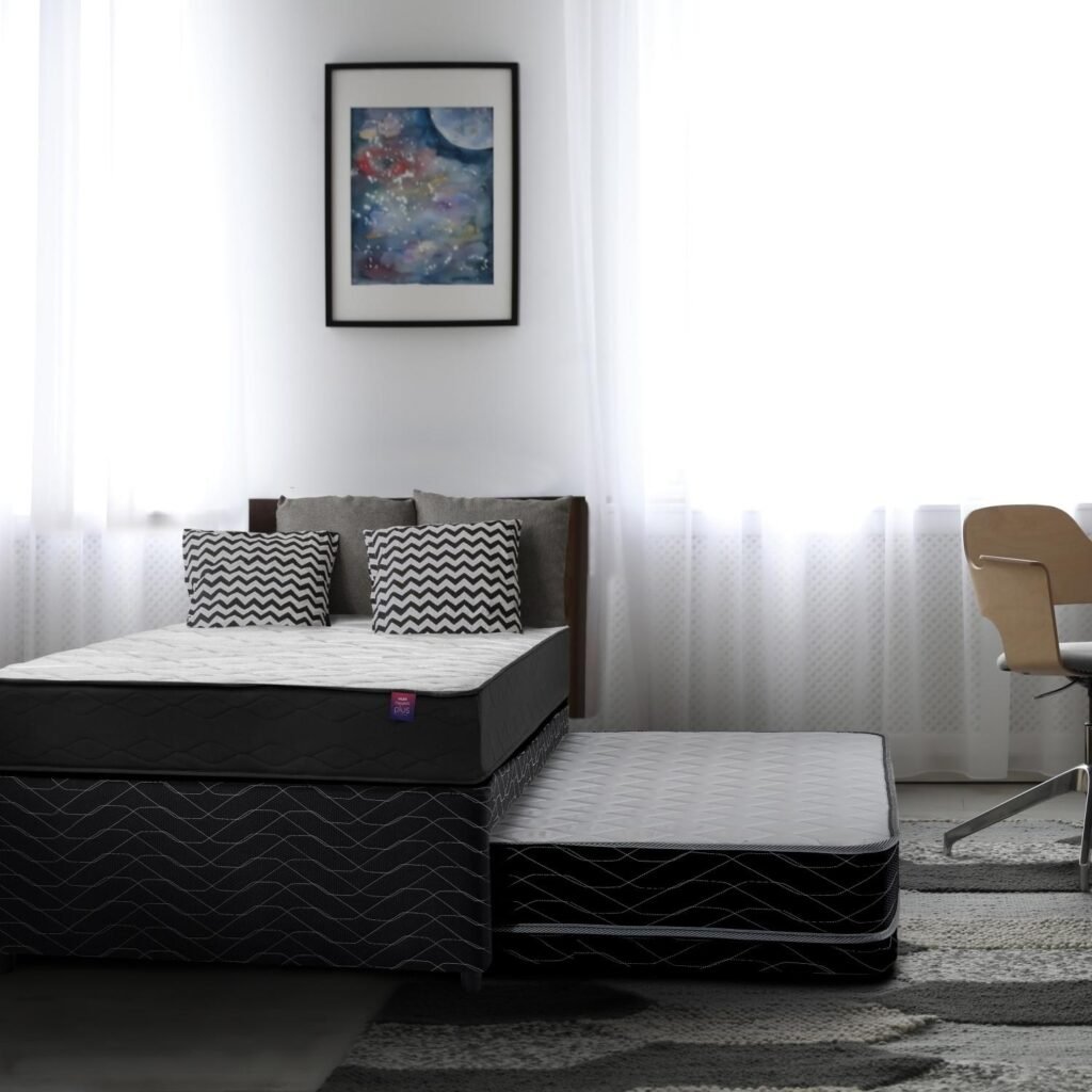 Diván Therapedic Plus Flex 1.5 Plaza 105X200 Cm + Respaldo Royal Negro ...